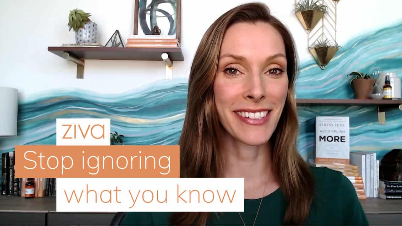 The REAL Meaning of Ignorance – Ziva Meditation