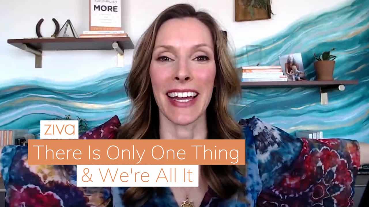 THIS Is The Most Important Thing We Teach – Ziva Meditation