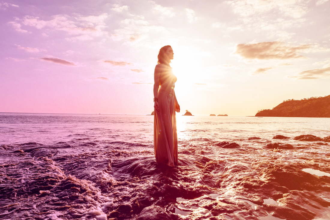 Dream Magnet – Ziva Meditation